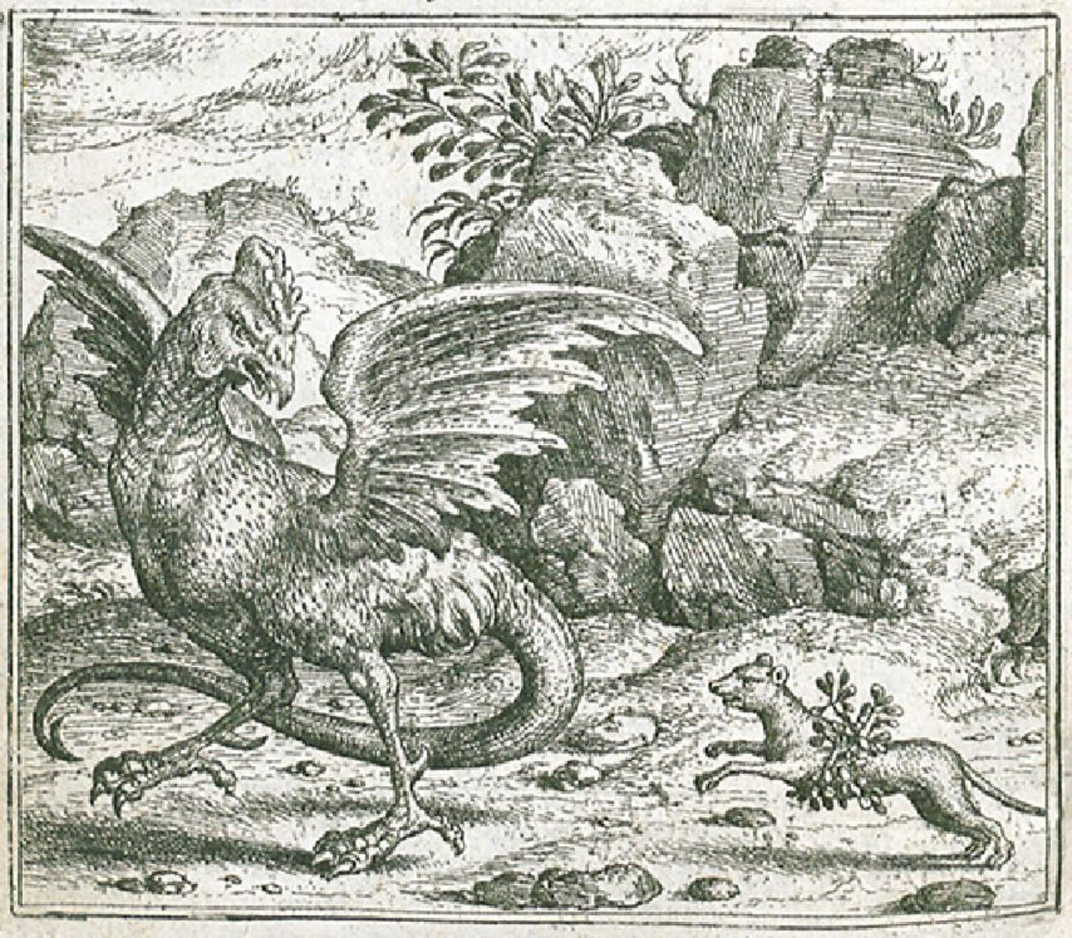 Basilisk – What Was This Mythical Monster? - Symbol Sage