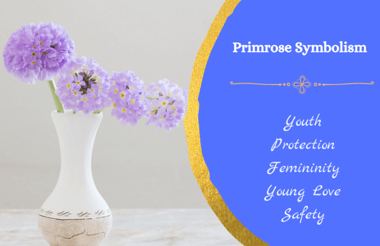 The Symbolic Primrose: Interpreting Its Many Meanings - Symbol Sage