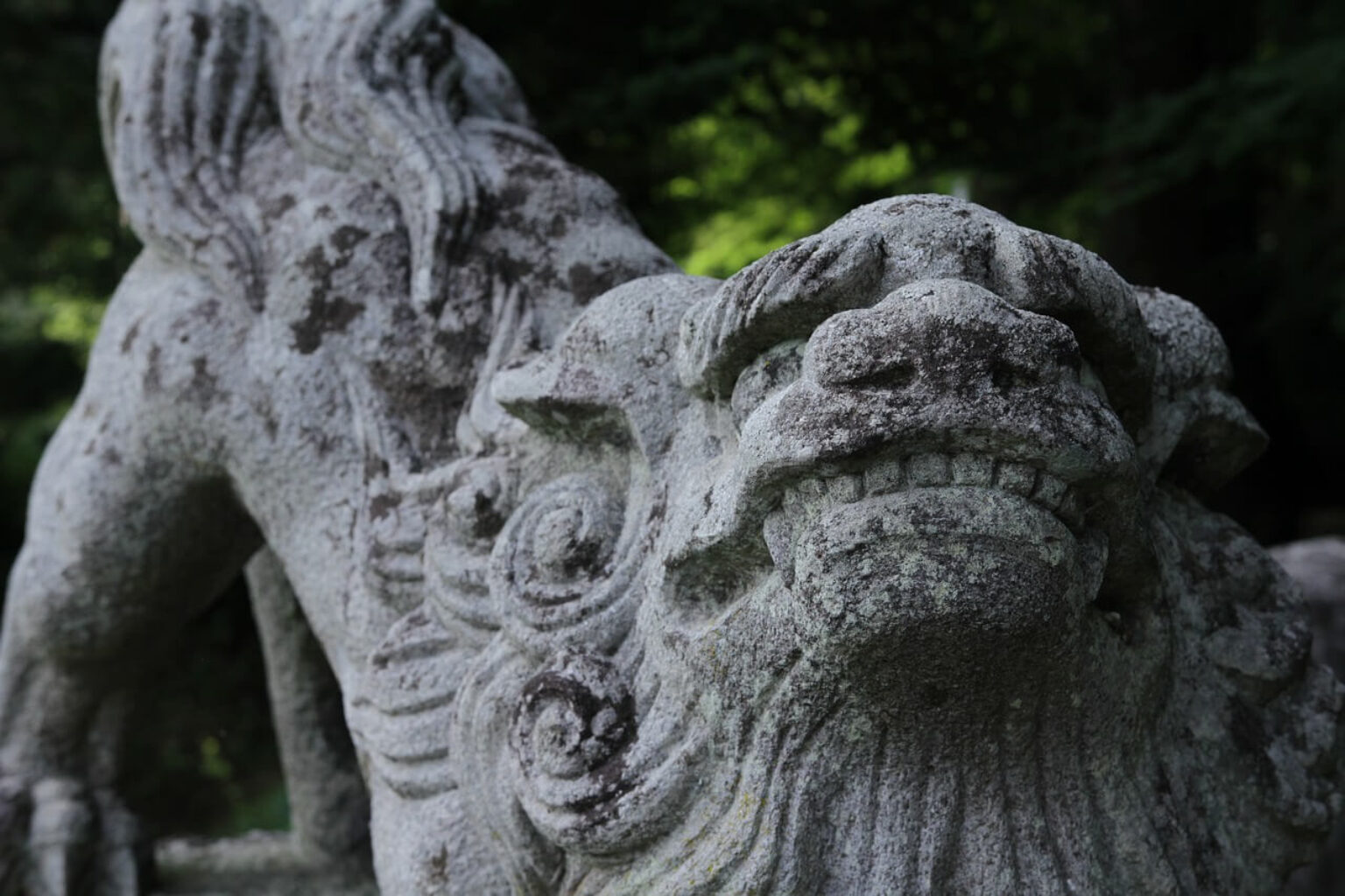 Mystical Protectors: Understanding Japan's Komainu - Symbol Sage