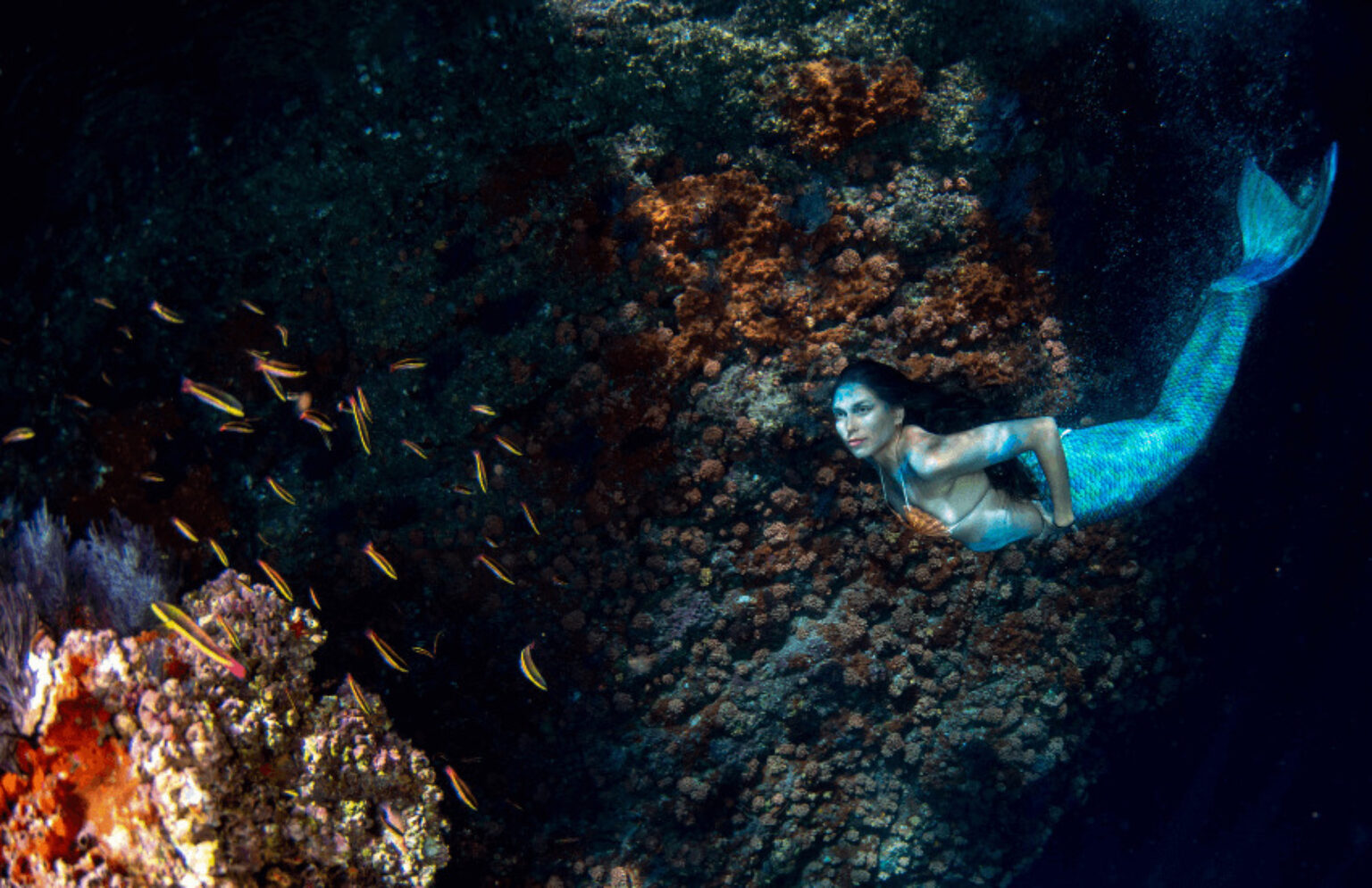 The Merrow – Irish Mermaids or Something More? - Symbol Sage