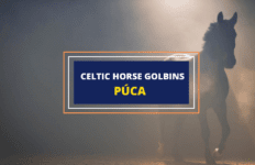 Púca (Pooka) – The Mysterious Celtic Horse-Goblins - Symbol Sage
