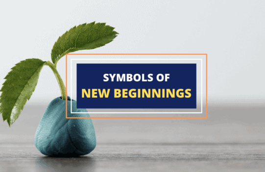 Top 10 Symbols of New Beginnings with Their Meanings