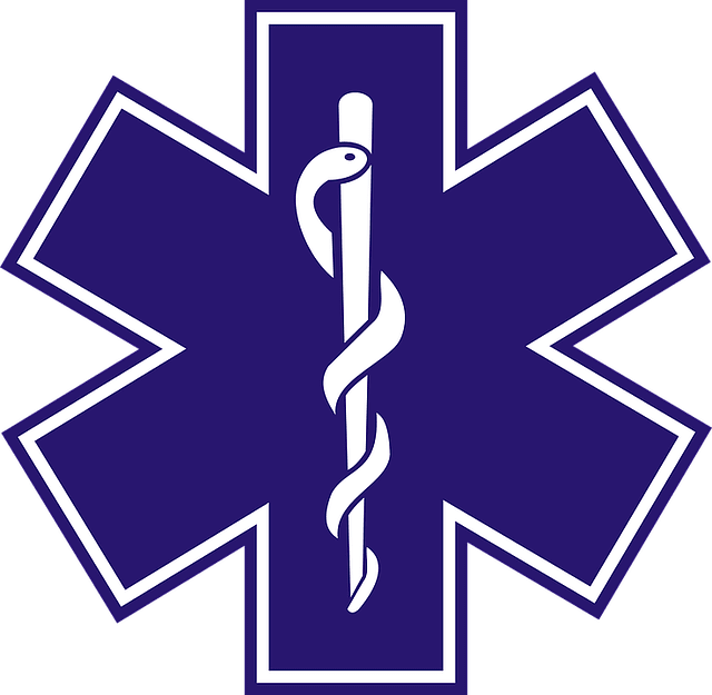 Star Of Life Meaning And Symbolism Symbol Sage Star Of Life Meaning And Symbolism Symbol Sage