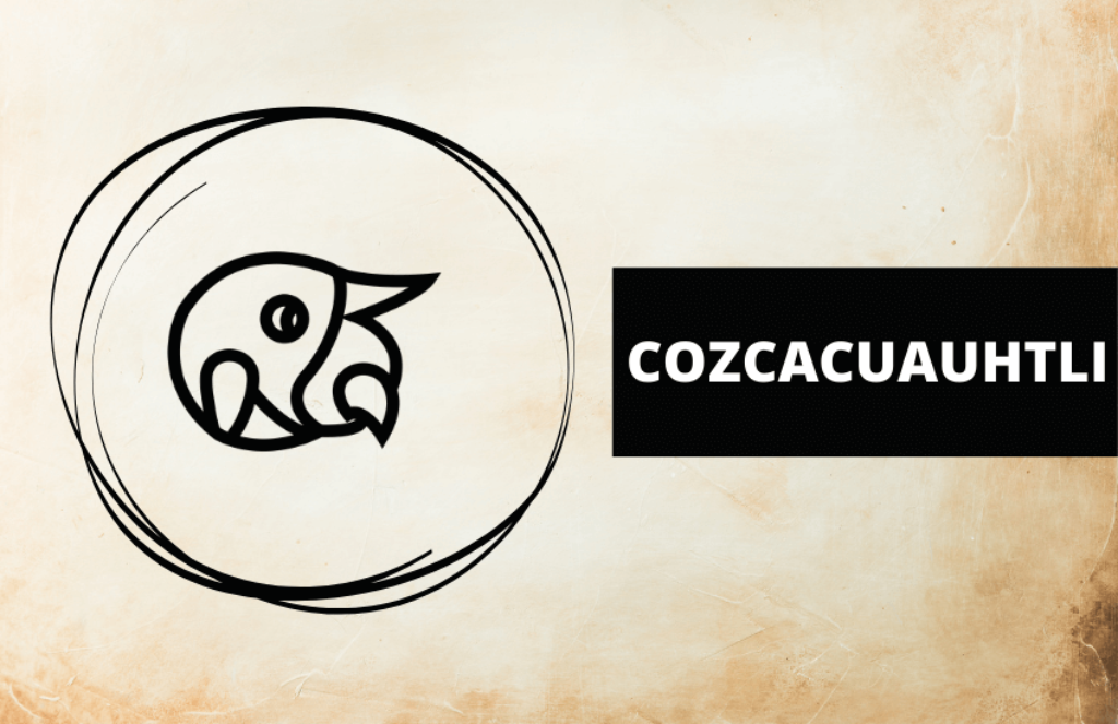 Cozcacuauhtli: Understanding the Aztec Day of the Vulture - Symbol Sage