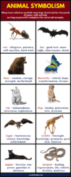 Animal Symbolism - An A-to-Z Guide - Symbol Sage