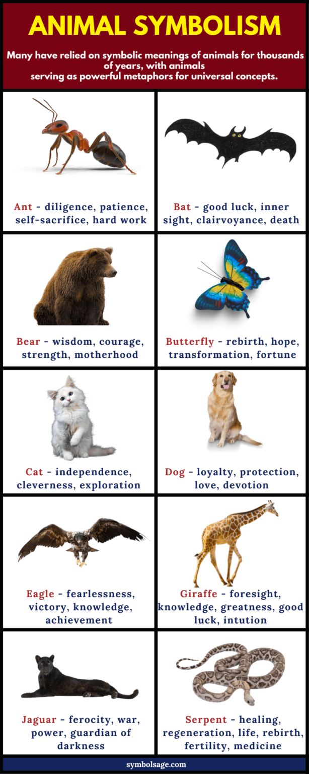 Animal Symbolism - An A-to-Z Guide - Symbol Sage