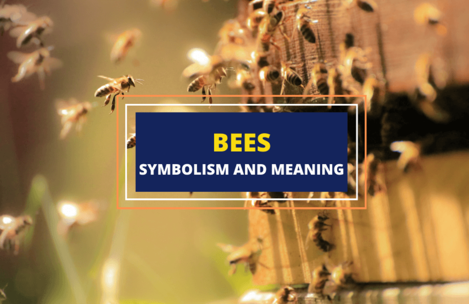 Bee-ing Symbolic: Understanding the Bee's Profound Meaning - Symbol Sage