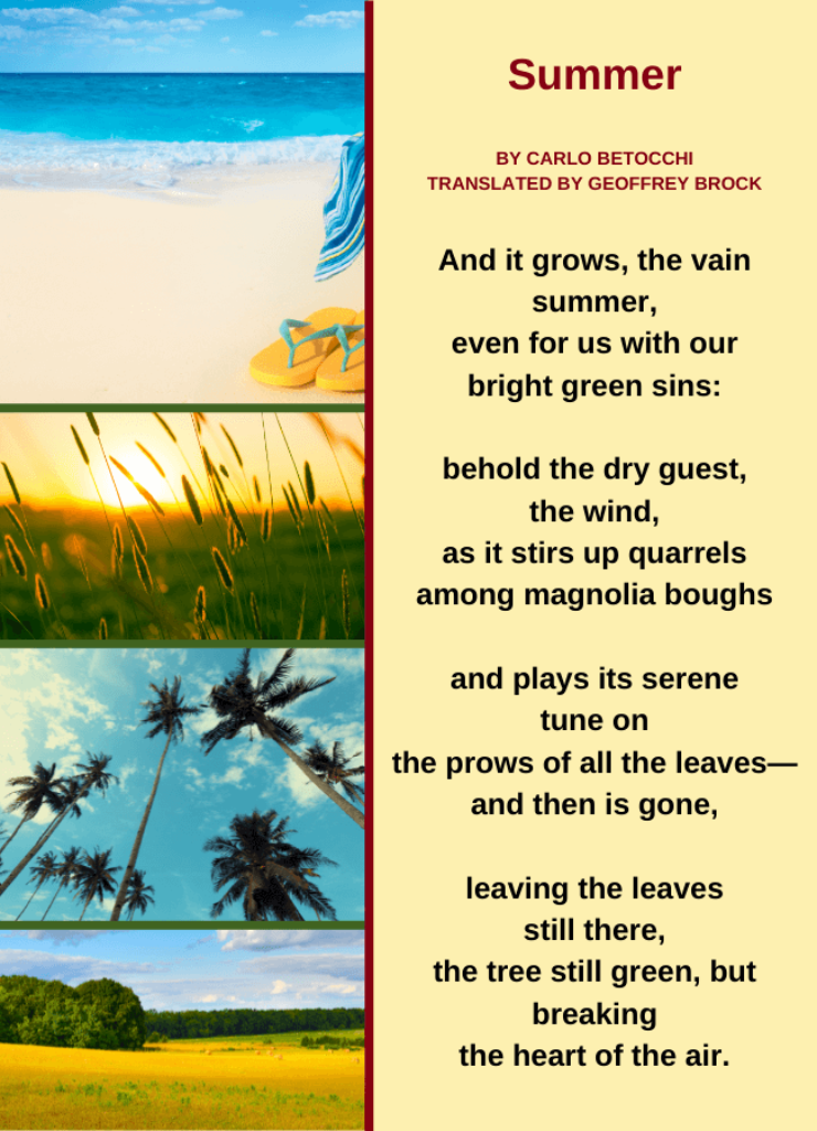 Powerful Symbols and Symbolism of Summer