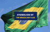 Brazilian Flag – History, Meaning and Symbolism - Symbol Sage