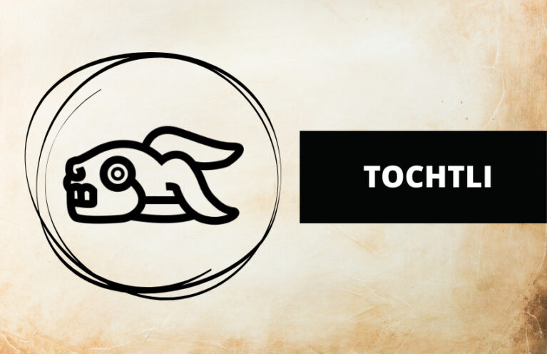 Tochtli's Tale: Unraveling the Aztec Rabbit Symbolism - Symbol Sage
