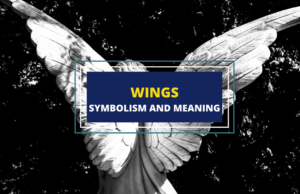 The Deep Meaning and Symbolism of Wings Across Cultures - Symbol Sage