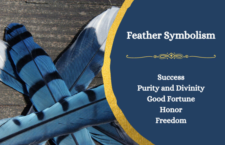 What Do Feathers Symbolize? - 10 Powerful Meanings