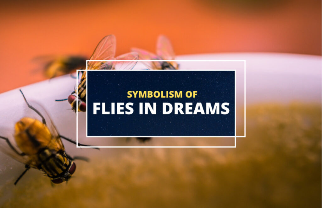 Dreams About Flies – Decoding the Buzz - Symbol Sage