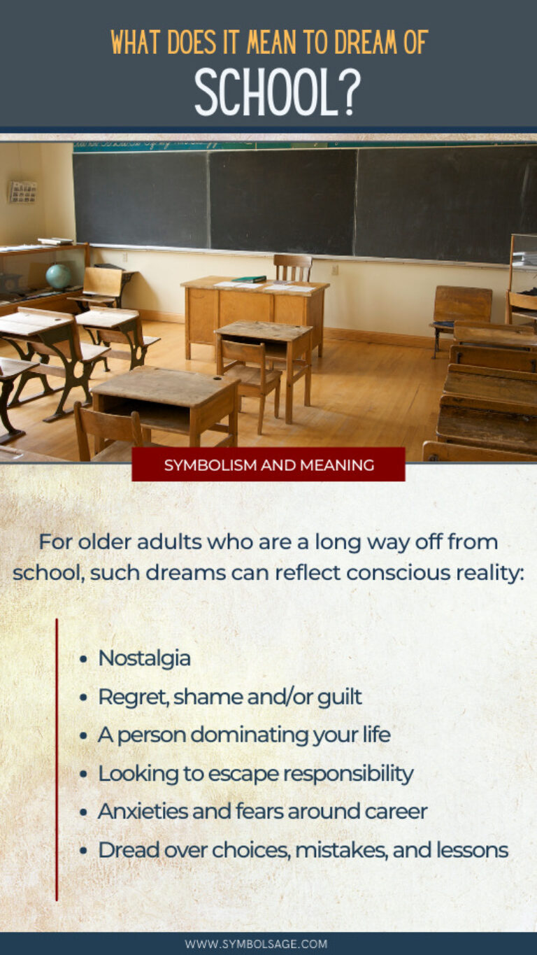 Dreams of Schools – What Does It Really Mean? - Symbol Sage
