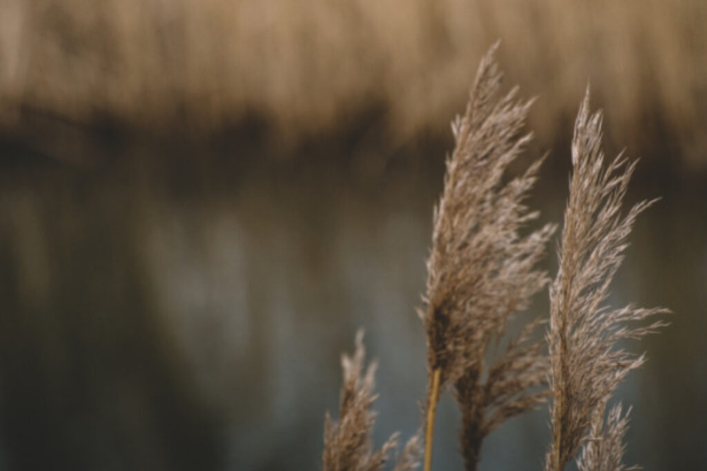 Aeolus – The Keeper of the Winds (Greek Mythology) - Symbol Sage