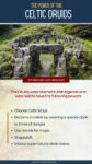 The Druids of Ireland – Who Were They? - Symbol Sage