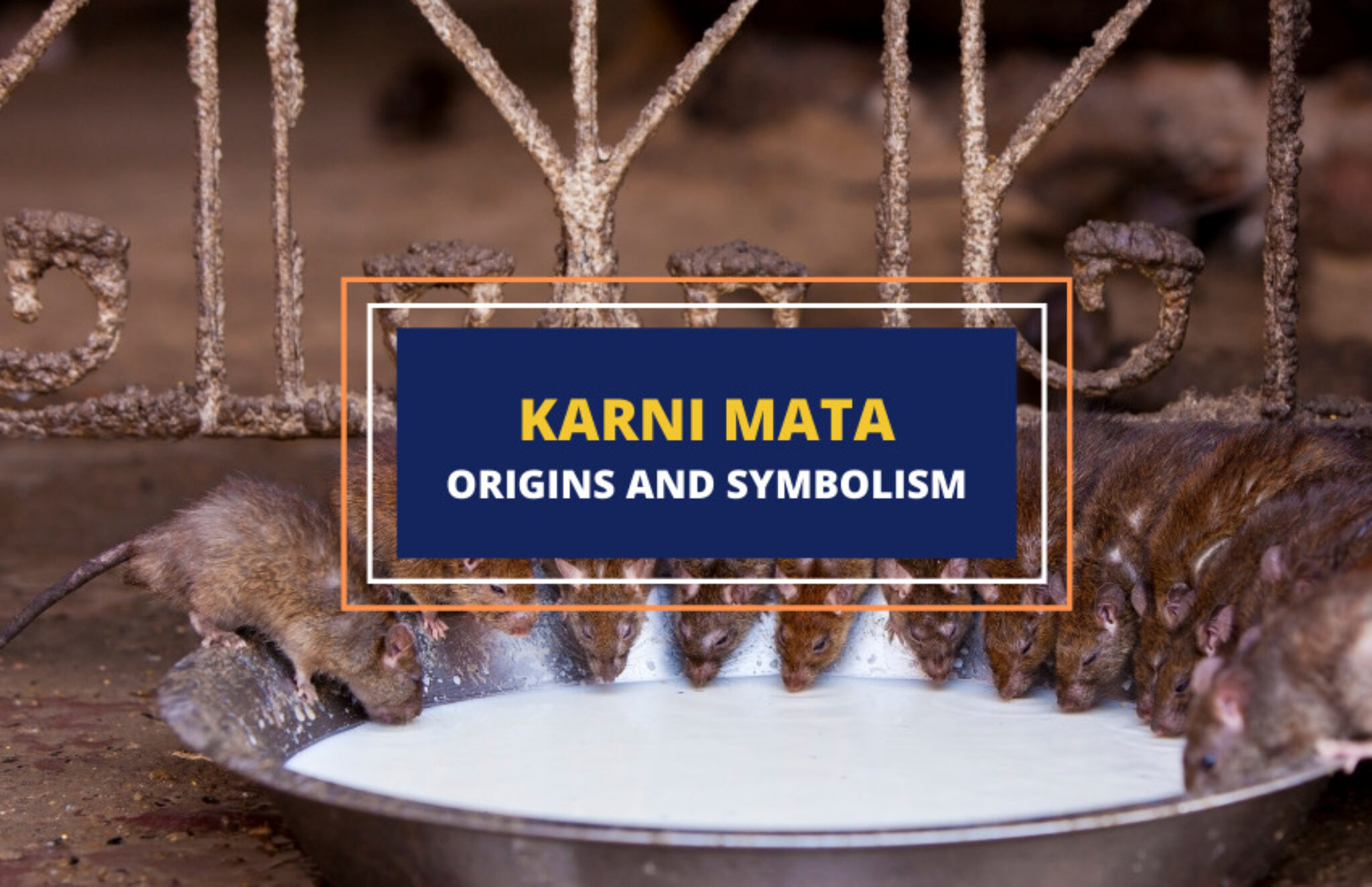 Karni Mata and the Bizarre Rat Temple (Hindu Mythology) - Symbol Sage