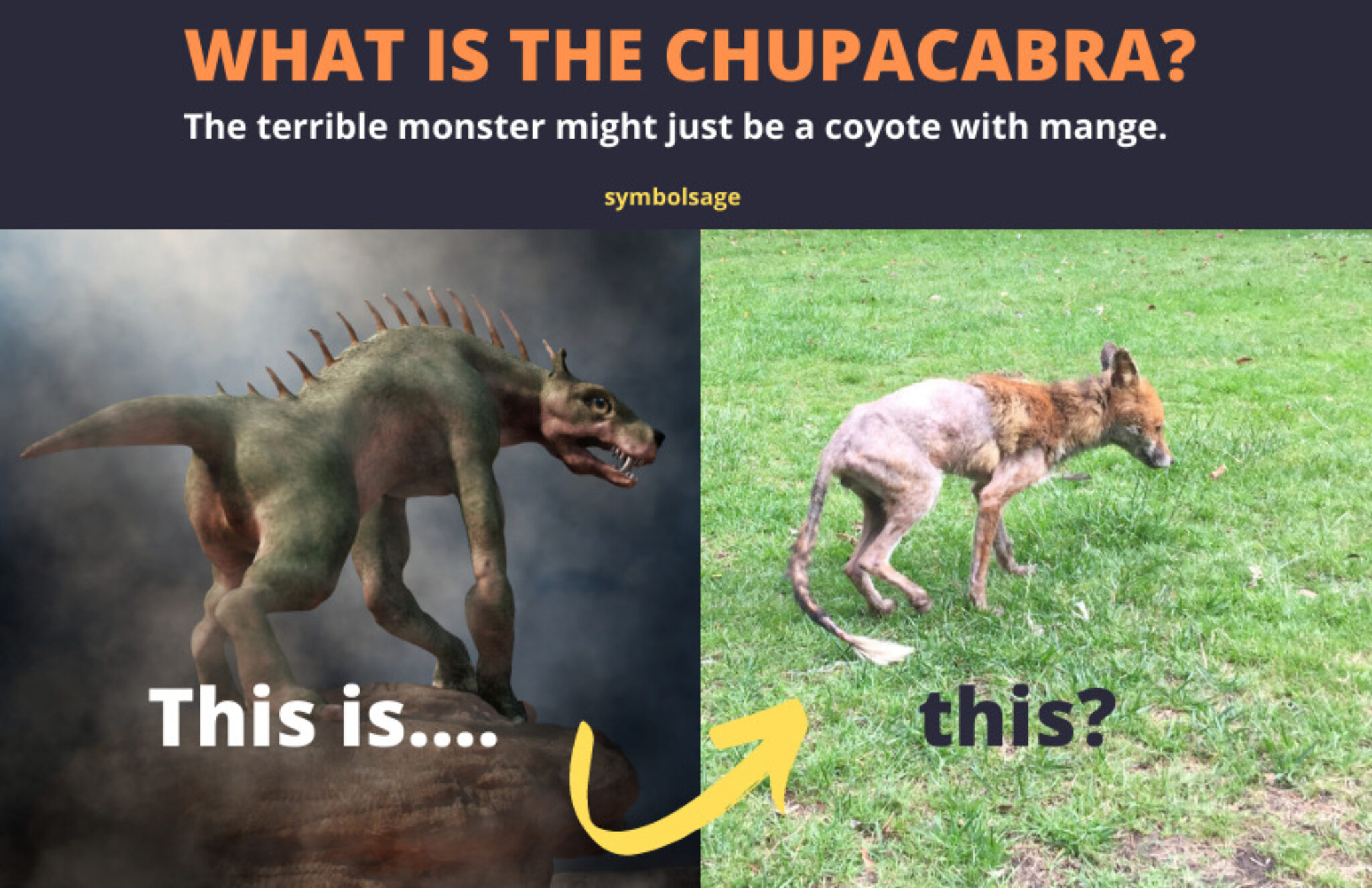 Chupacabra – Bloodsucking Monster of Latin America - Symbol Sage