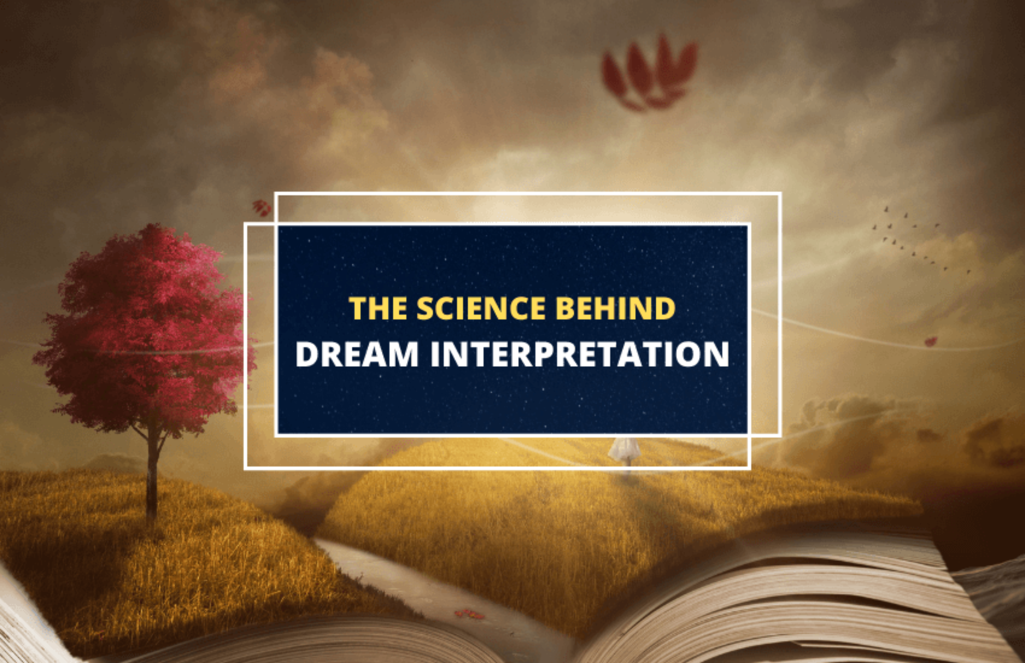 The Science Behind Dream Interpretation (Is There Any?) - Symbol Sage