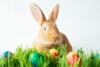 The 10 Most Famous Symbols of Easter