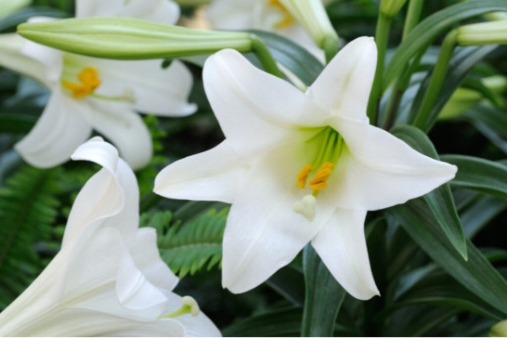 The 10 Most Famous Symbols of Easter