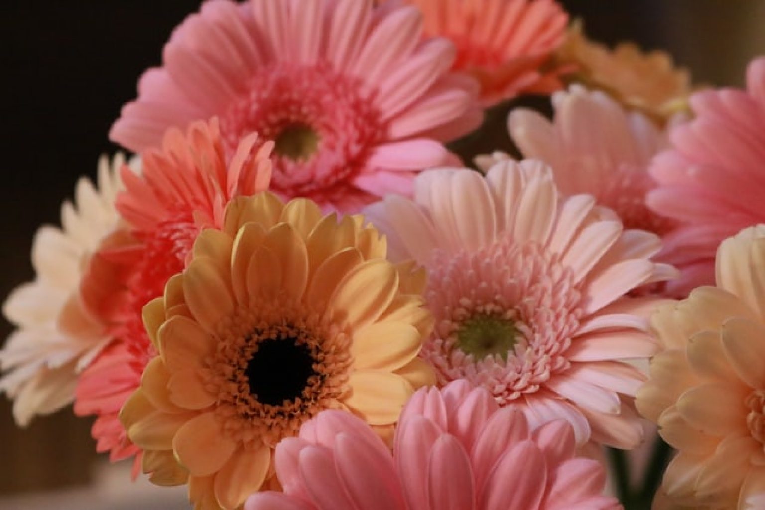 25 Flowers Symbolizing Happiness and Joy