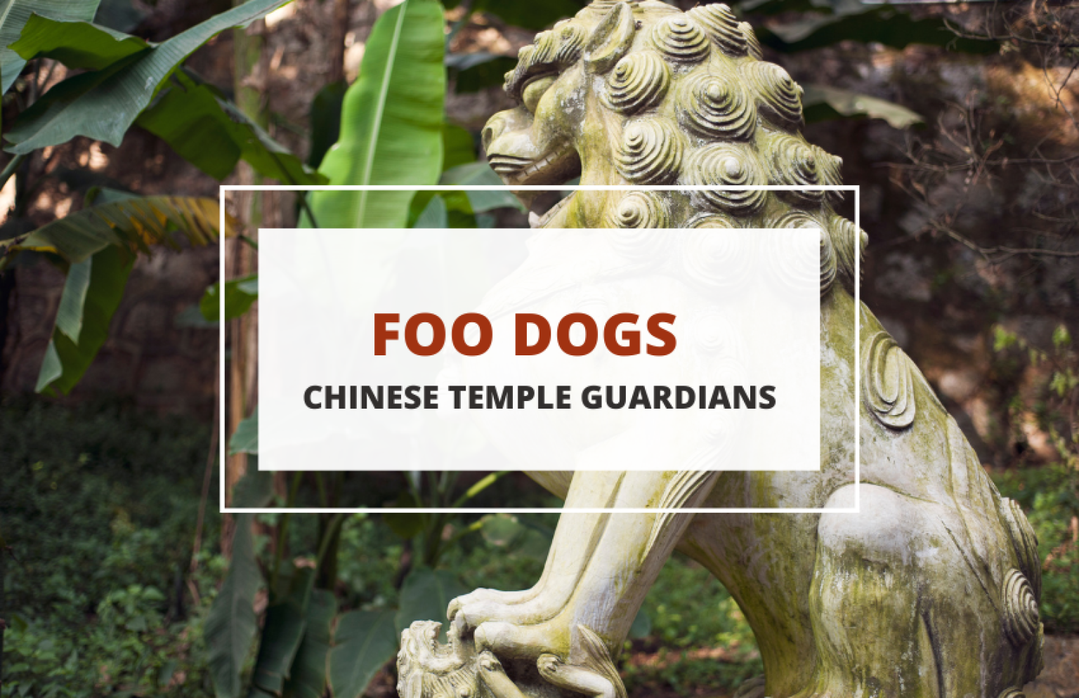 What Are Foo Dogs - The Chinese Temple Guardians?