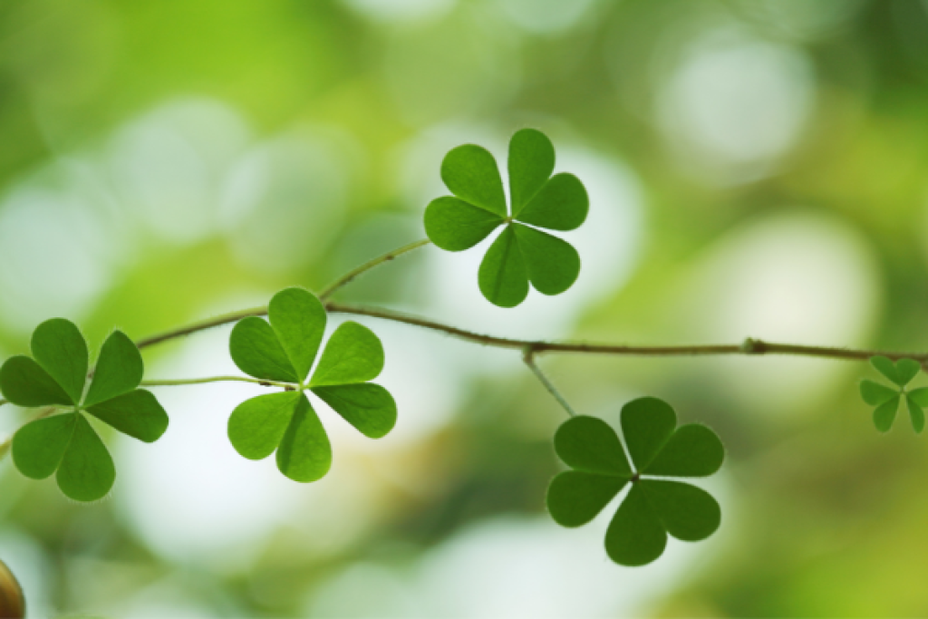 Top 19 Symbols of the Trinity and What They Mean