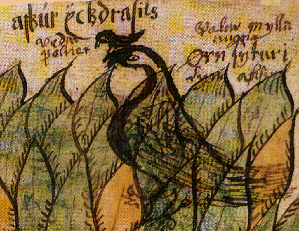 Symbolic Meaning of Hawks - Symbol Sage