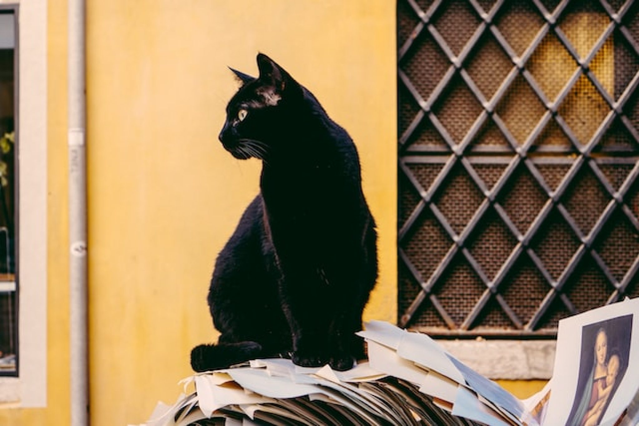 What are superstitions – and why people believe in them