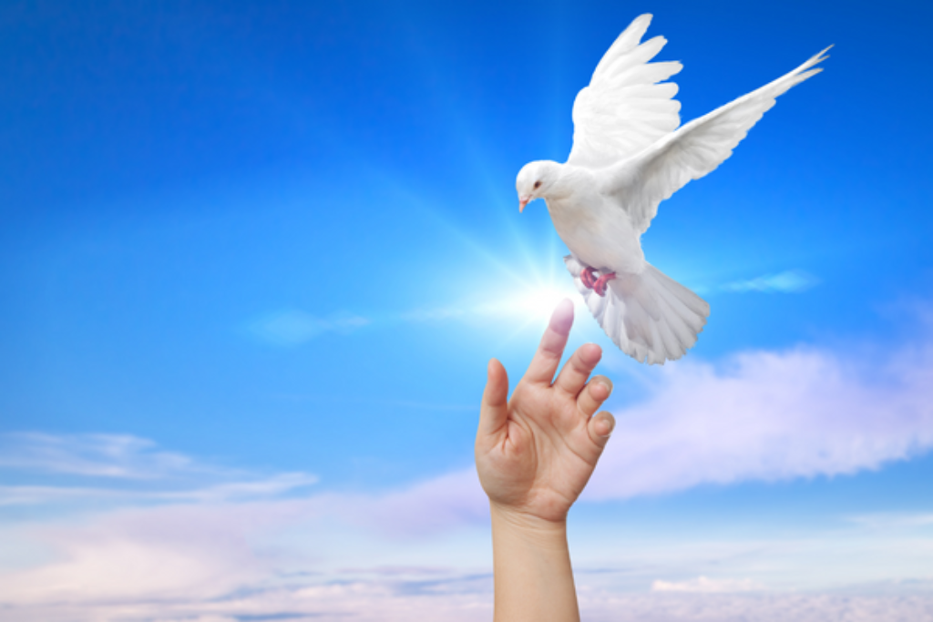 What Is the Epiphany and How Is It Celebrated? - Symbol Sage