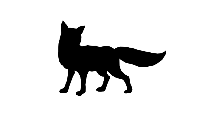 What’s Your Spirit Animal? - A Guide to Find It - Symbol Sage