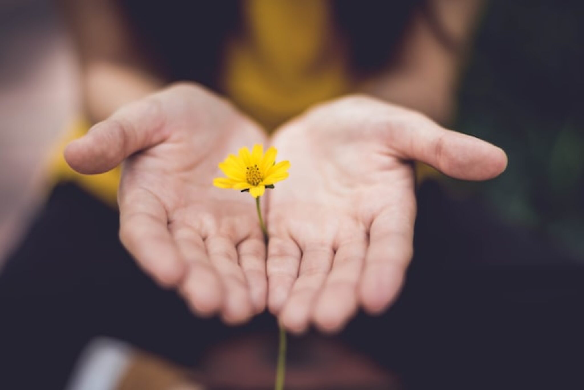 Five Virtues for a Harmonious Life: Lessons from Confucianism - Symbol Sage