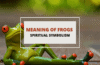 Spiritual Meaning and Symbolism of Frogs - Symbol Sage