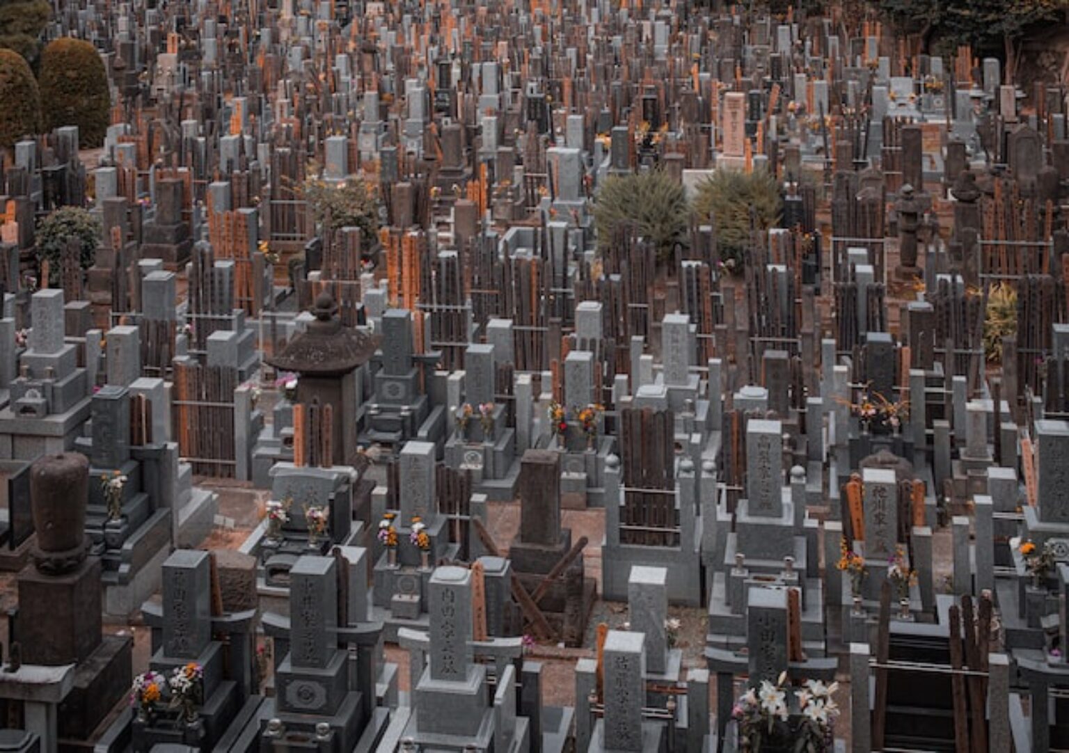 Unique Japanese Proverbs and Their Meanings - Symbol Sage