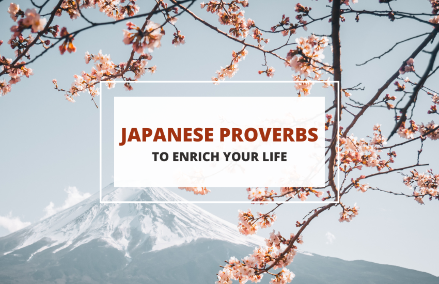 Unique Japanese Proverbs and Their Meanings - Symbol Sage