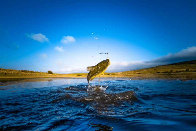 Dreaming about a Lake – What Does It Mean? - Symbol Sage