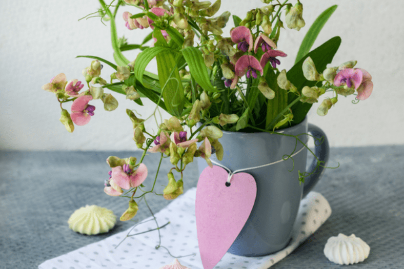 April Birth Flowers – Daisy and Sweet Pea - Symbol Sage