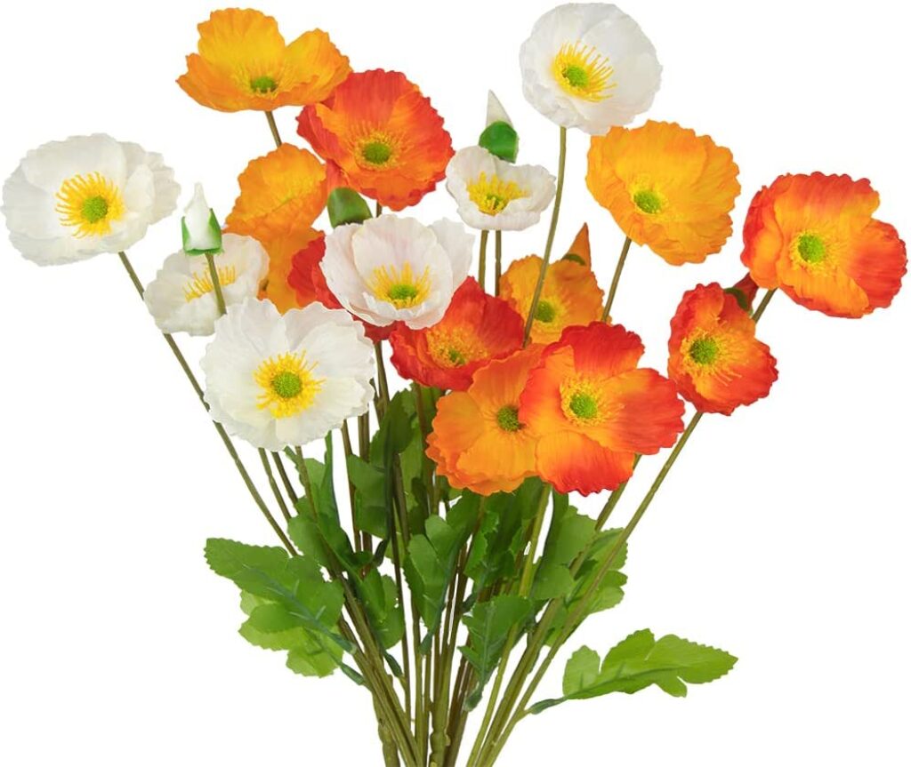 August Birth Flowers: Gladiolus and Poppy - Symbol Sage