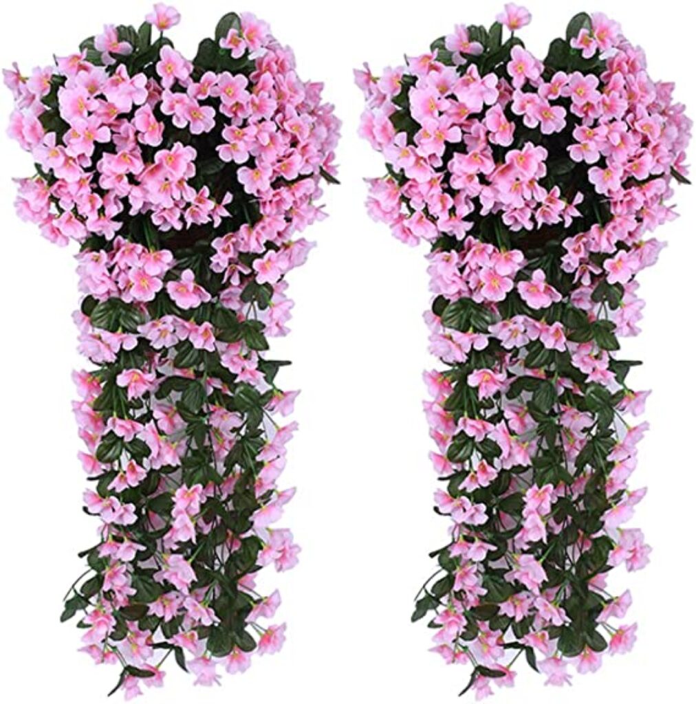 20 Flowers that Symbolize Forgiveness and Say, “I’m Sorry!” - Symbol Sage