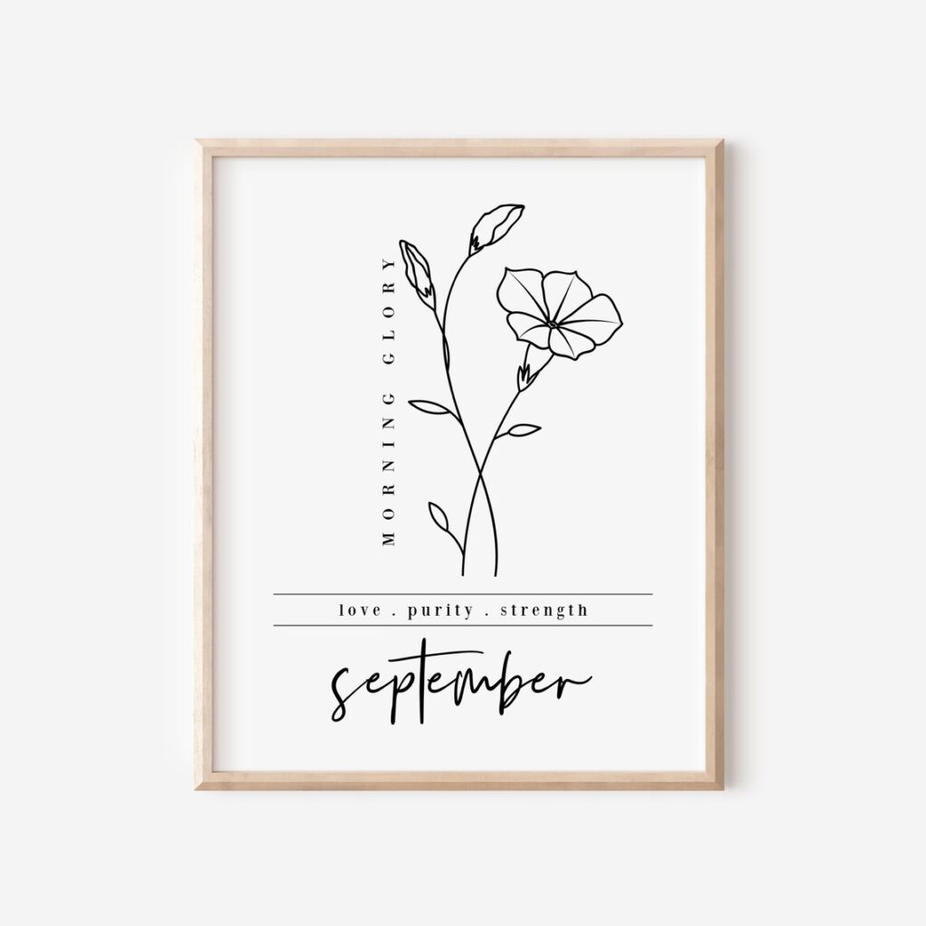 September Birth Flowers: Aster and Morning Glory - Symbol Sage
