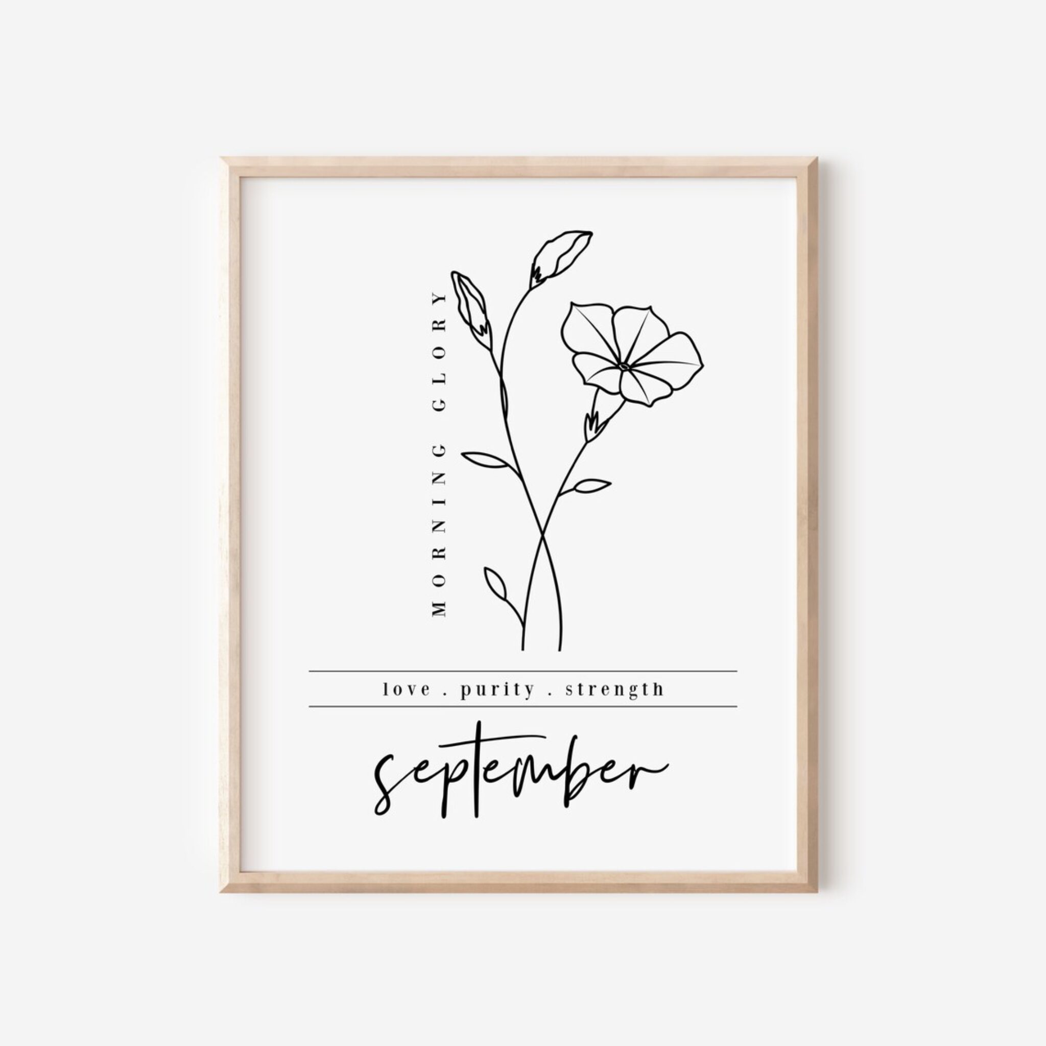 September Birth Flowers: Aster and Morning Glory - Symbol Sage