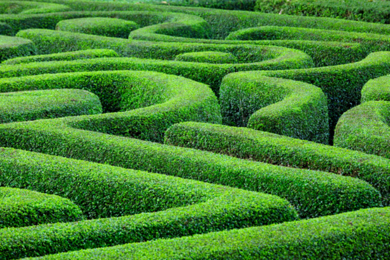 Dreaming About a Maze – What Does It Mean? - Symbol Sage