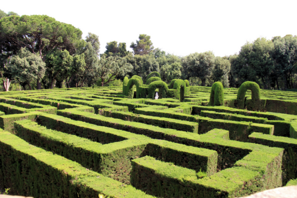 Dreaming About a Maze – What Does It Mean? - Symbol Sage