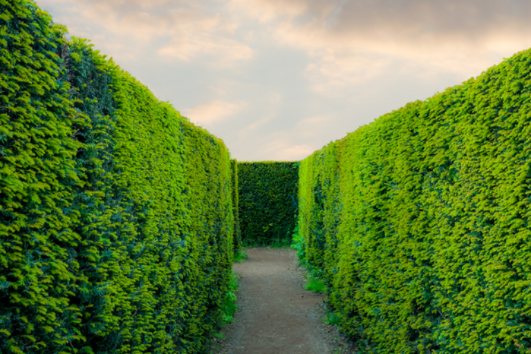 Dreaming About a Maze – What Does It Mean? - Symbol Sage