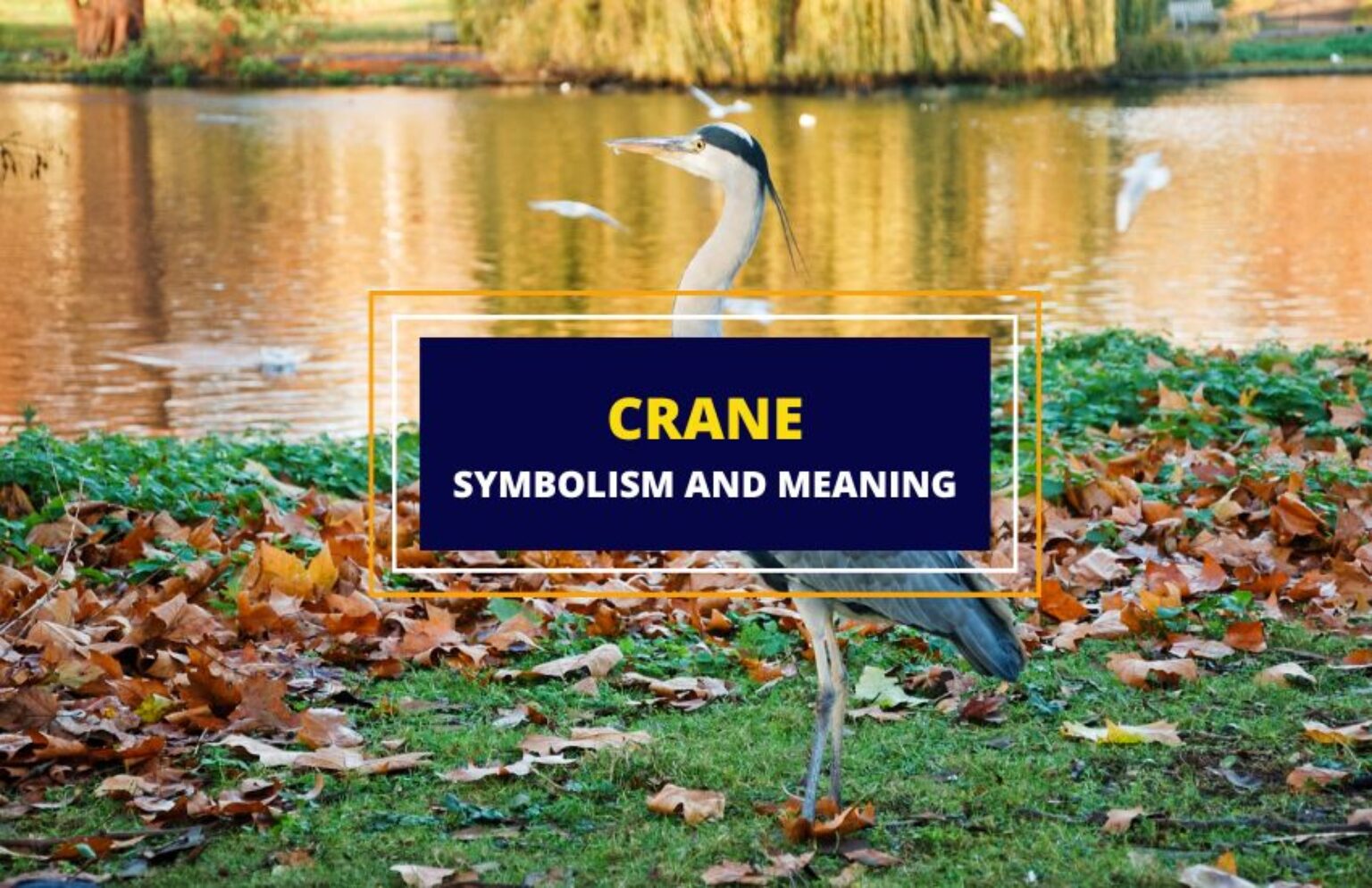The Deep Symbolism Of The Crane In Different Cultures the-deep-symbolism-of-the-crane-in-different-cultures