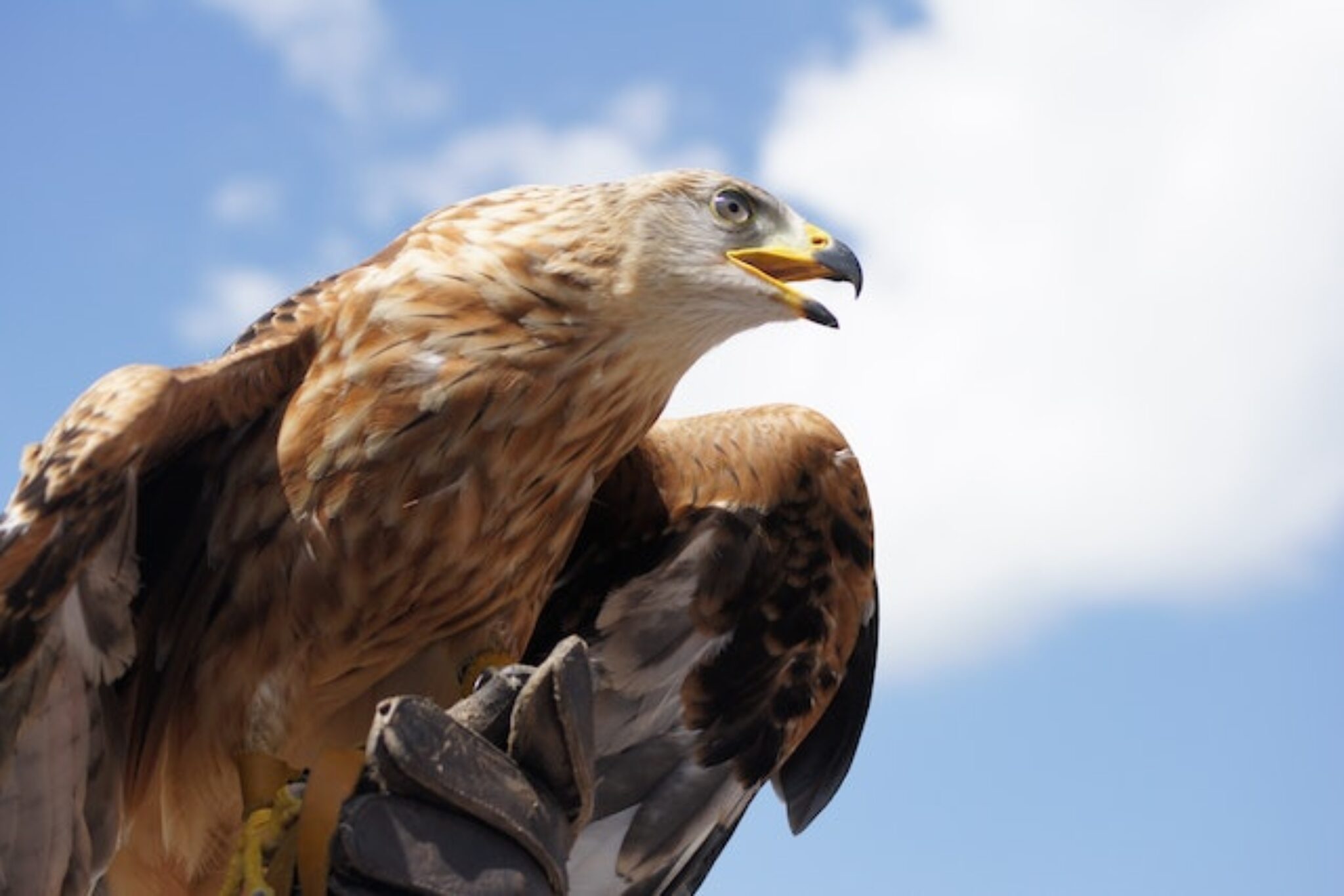 21 Remarkable Symbols of Energy and Their Meanings