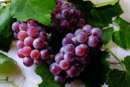 15 Powerful Symbols of Abundance and What They Mean