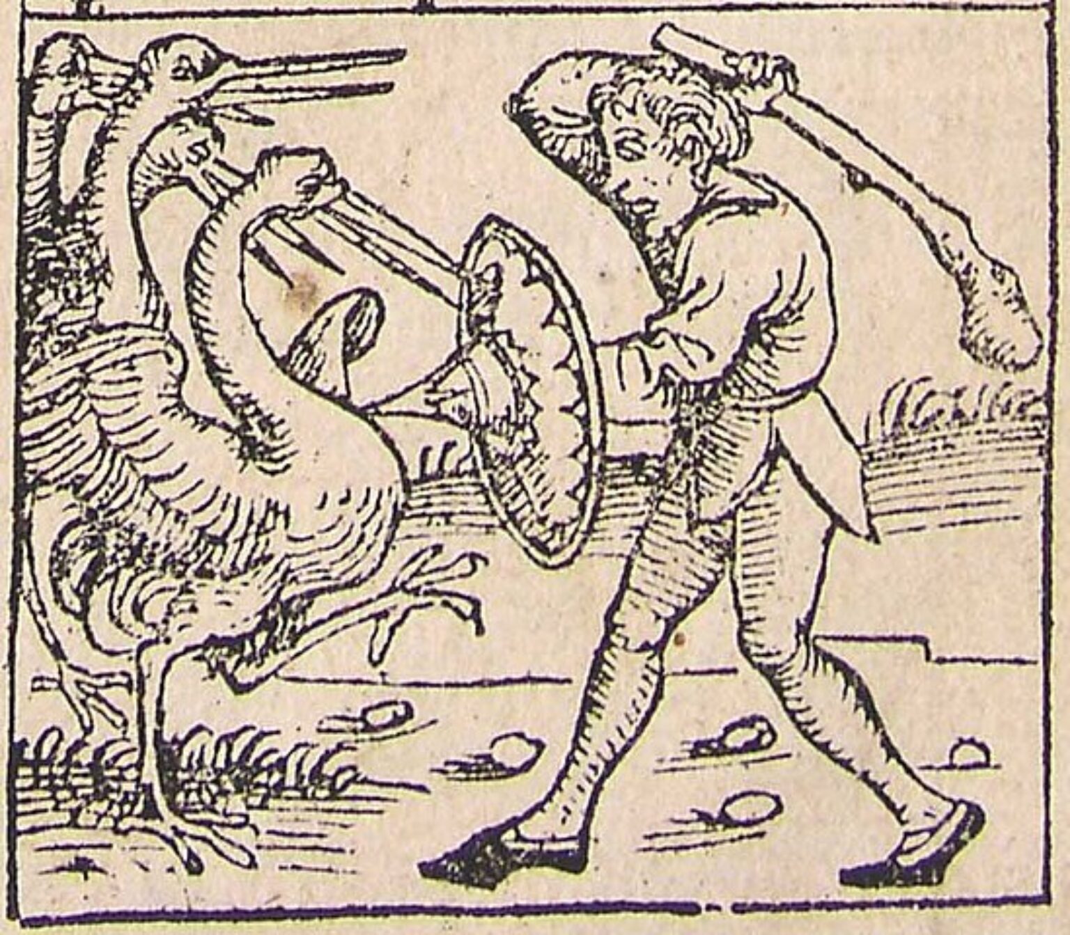 The Deep Symbolism of the Crane in Different Cultures