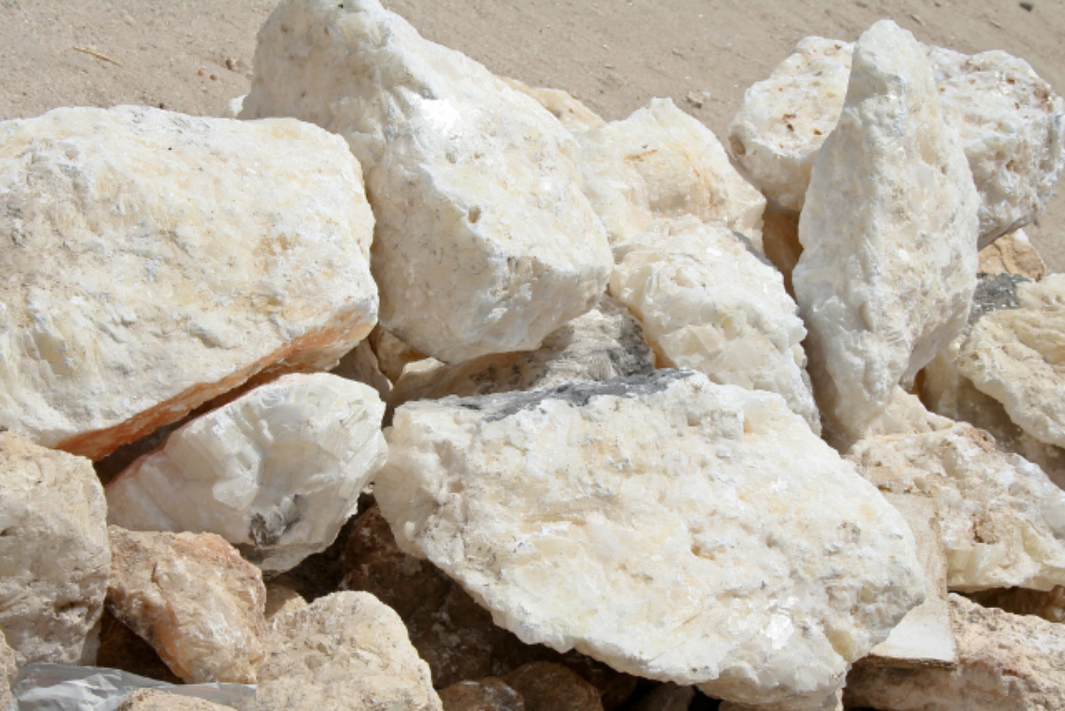 19 Powerful Symbols of Innocence and What They Mean